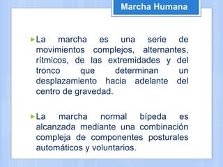 Marcha humana | PPT