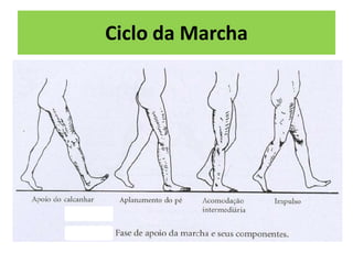 MARCHA HUMANA. UM ESTUDO SOBRE AS MARCHAS | PDF