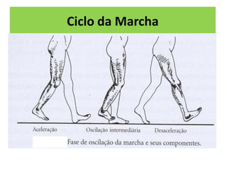 MARCHA HUMANA. UM ESTUDO SOBRE AS MARCHAS | PDF