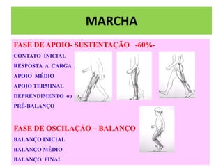 MARCHA HUMANA. UM ESTUDO SOBRE AS MARCHAS | PDF