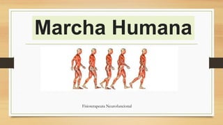 Marcha humana, introdução, componentes, exemplos.pptx
