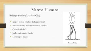 Marcha humana, introdução, componentes, exemplos.pptx