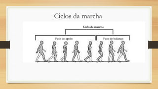 Marcha humana, introdução, componentes, exemplos.pptx