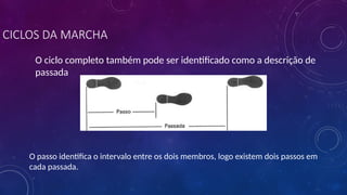 Marcha humana, fases e funções básicas.pptx