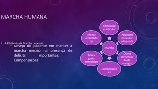 Marcha humana, fases e funções básicas.pptx