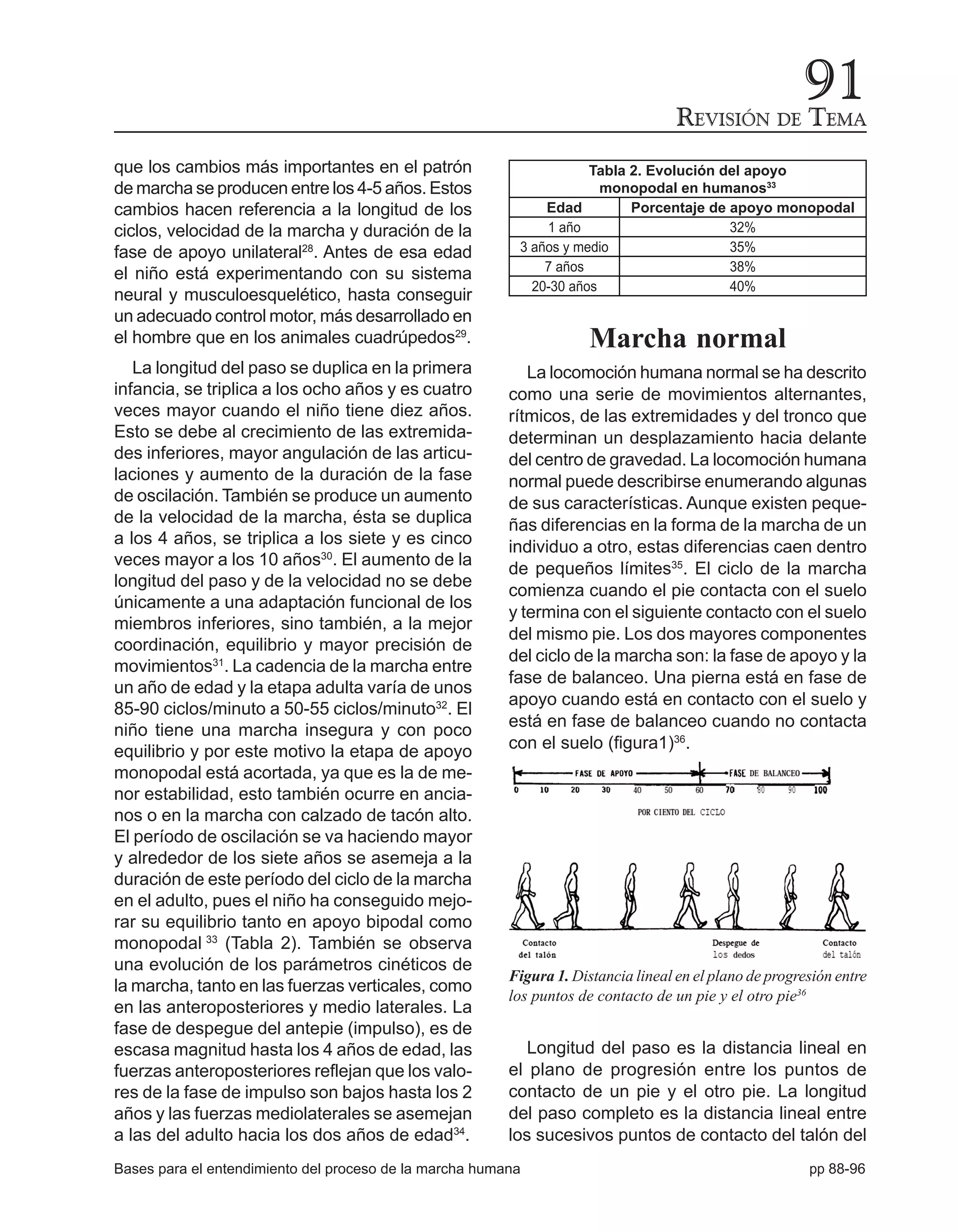 marcha humana articulo.pdf