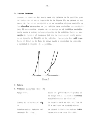 Marcha normal | PDF