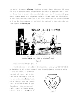 Marcha normal | PDF