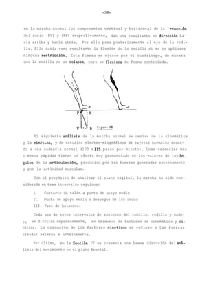 Marcha normal | PDF