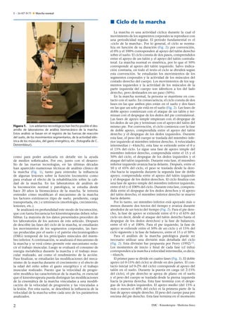 Marcha normal | PDF