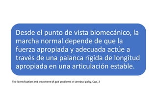 Estudio sobre el ciclo de la Marcha normal 1.pptx