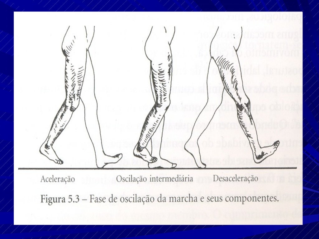 Marcha normal e_patologica