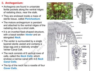 marchantia.pdf