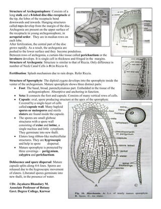 Marchantia Sporophyte Slide