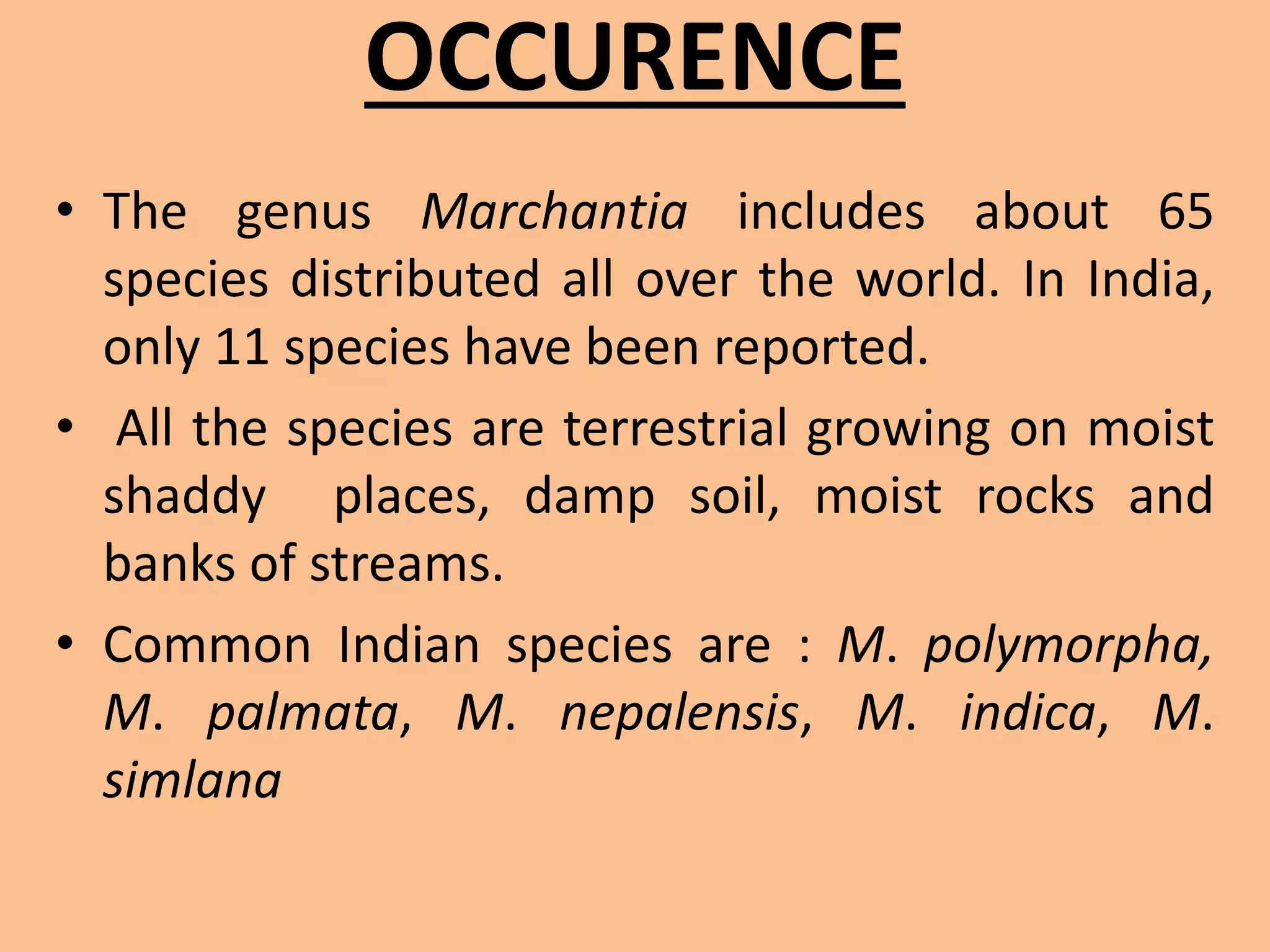 Marchantia ppt | PPTX