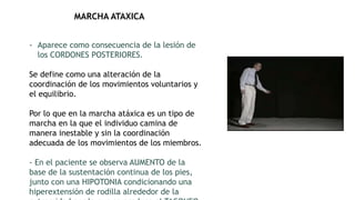 Marcha Atáxica