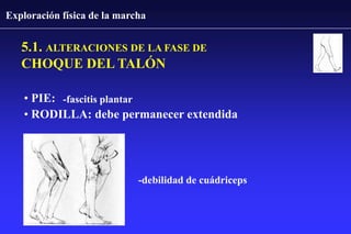 Exploración física de la marcha | PPTX