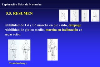 Exploración física de la marcha | PPTX