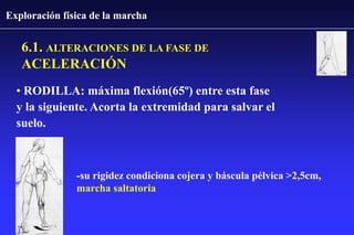 Exploración física de la marcha | PPTX