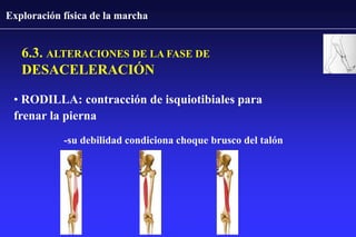 Exploración física de la marcha | PPTX