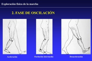 Exploración física de la marcha | PPTX