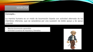 Marcha y su reeducacion | PPTX