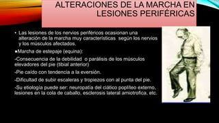Marcha y su reeducacion | PPTX