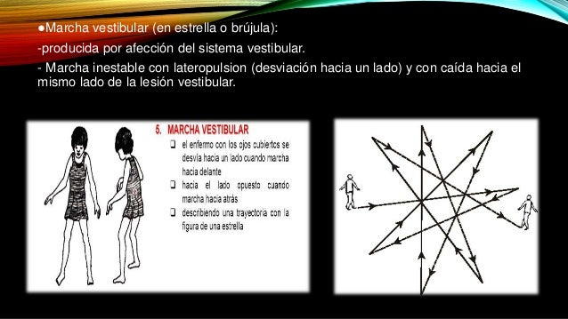 Marcha y su reducacion