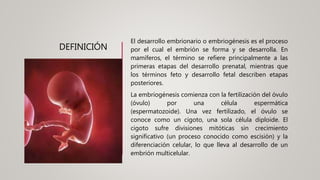 Desarrollo Embrionario | PPTX