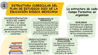 MARCO CURRICULAR Y PLAN DE ESTUDIOS 2022.pptx