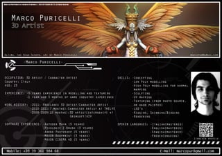 Marco Puricelli Portfolio | PPT
