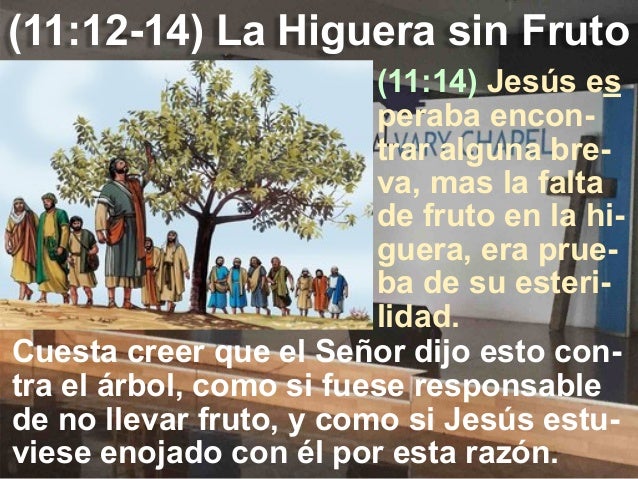 Marcos 11:12-14, 20-21