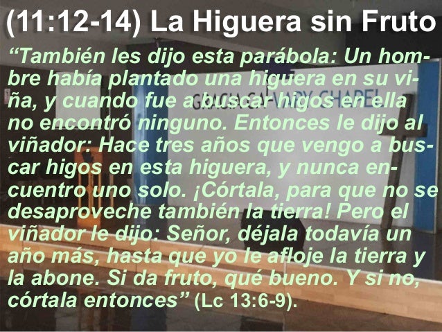 Marcos 11:12-14, 20-21