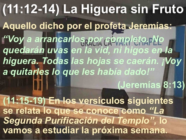 Marcos 11:12-14, 20-21