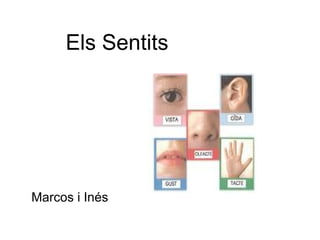 Marcos i Inés - Els Sentits | ODP