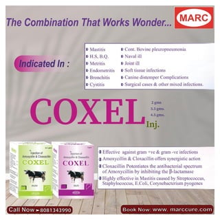 Marc pharma veterinary products | PDF