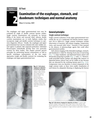 Barium study | PDF