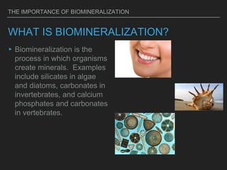 Marcs grow project | PPT