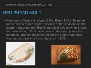 Marcs grow project | PPT