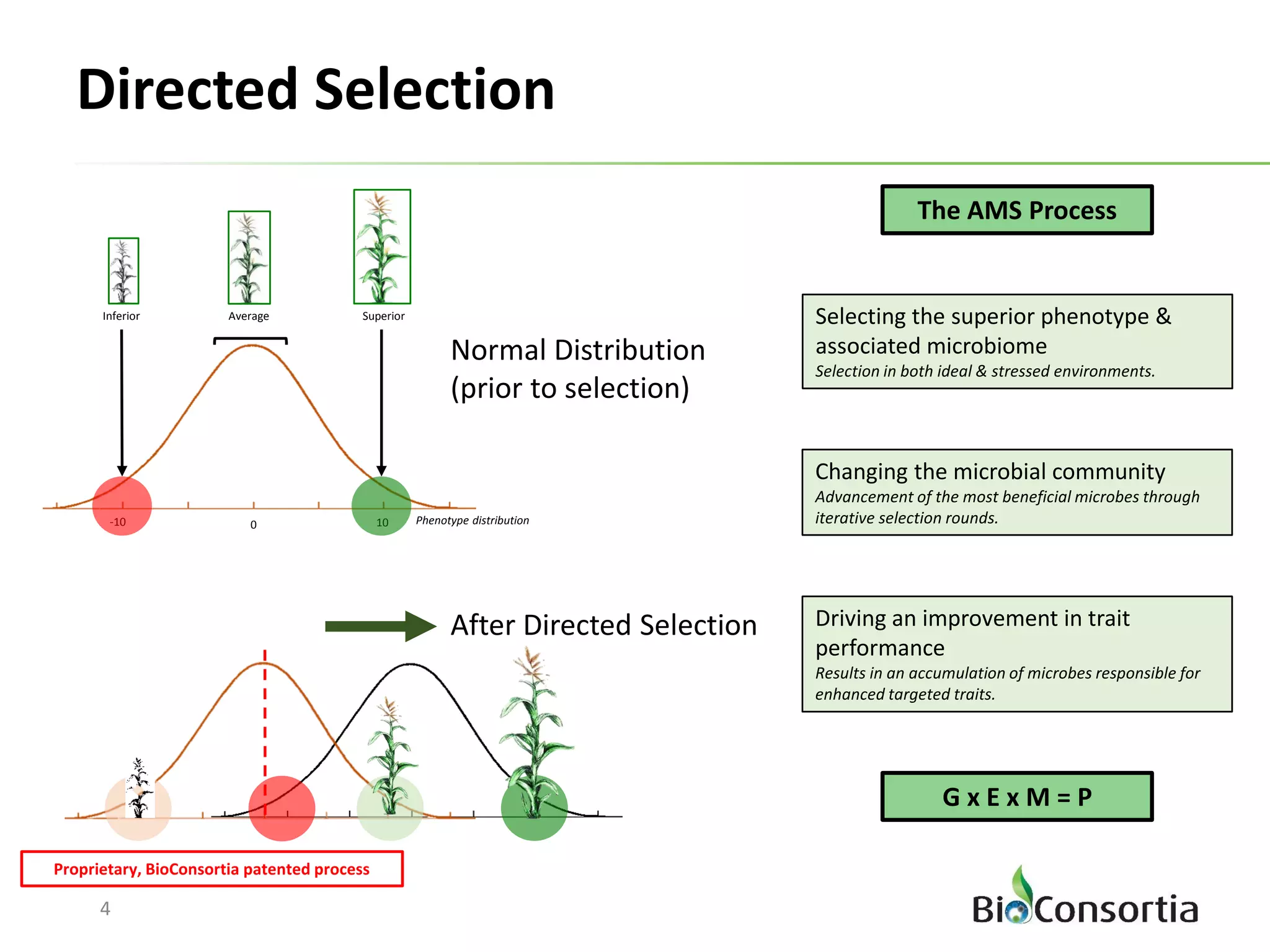 Advanced Microbial Selection: Evolving Plant Microbiomes To Improve ...