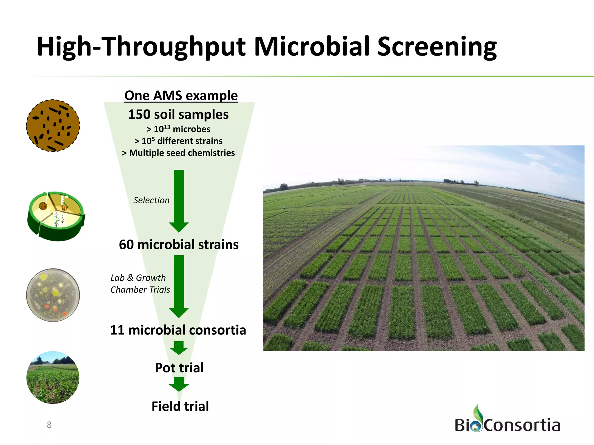 Advanced Microbial Selection: Evolving Plant Microbiomes To Improve ...
