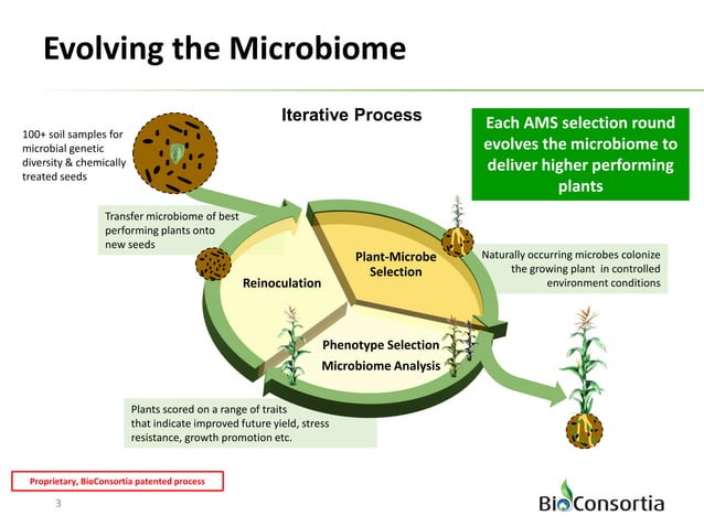 Advanced Microbial Selection: Evolving Plant Microbiomes To Improve Crop Traits | PPT