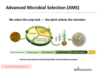 Advanced Microbial Selection: Evolving Plant Microbiomes To Improve ...