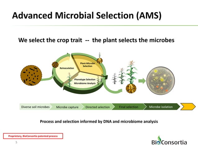 Advanced Microbial Selection: Evolving Plant Microbiomes To Improve ...