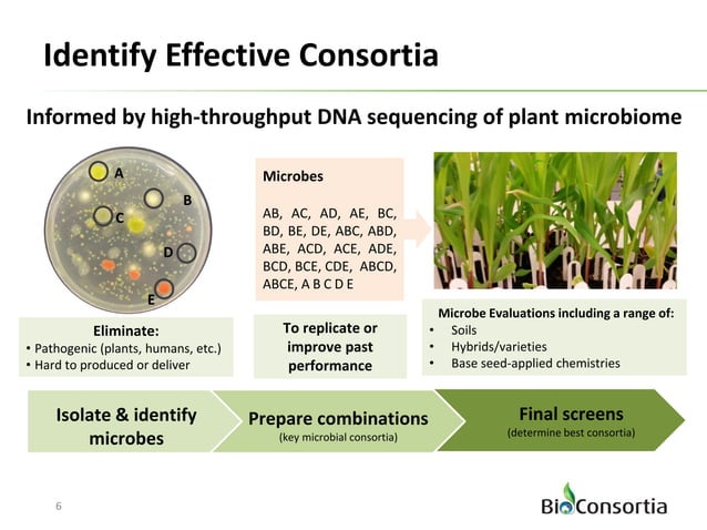 Advanced Microbial Selection: Evolving Plant Microbiomes To Improve ...