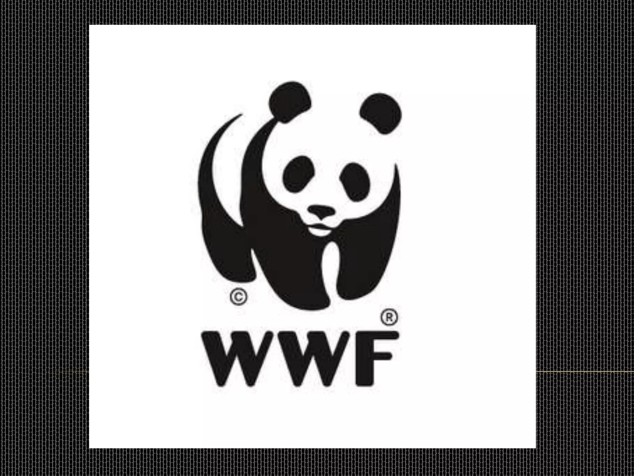 Marc wwf | PPT
