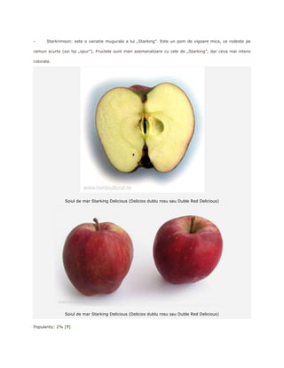 Mar delicios rosu | DOCX