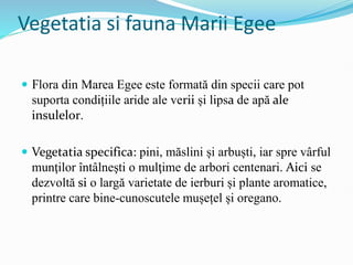 Marea Egee prezentare descriere fauna geografie | PPTX