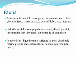 Marea Egee prezentare descriere fauna geografie | PPTX