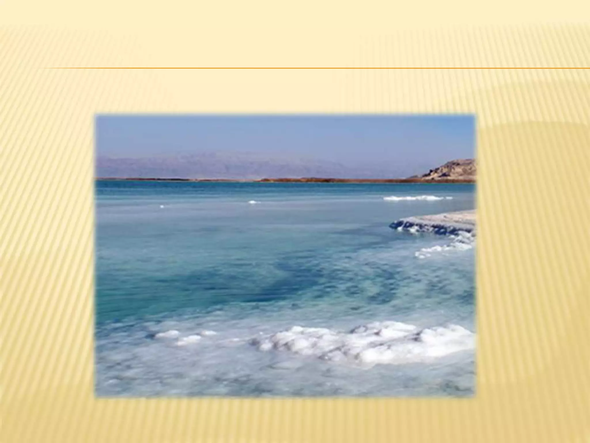 Marea moarta angelescu_ines | PPTX